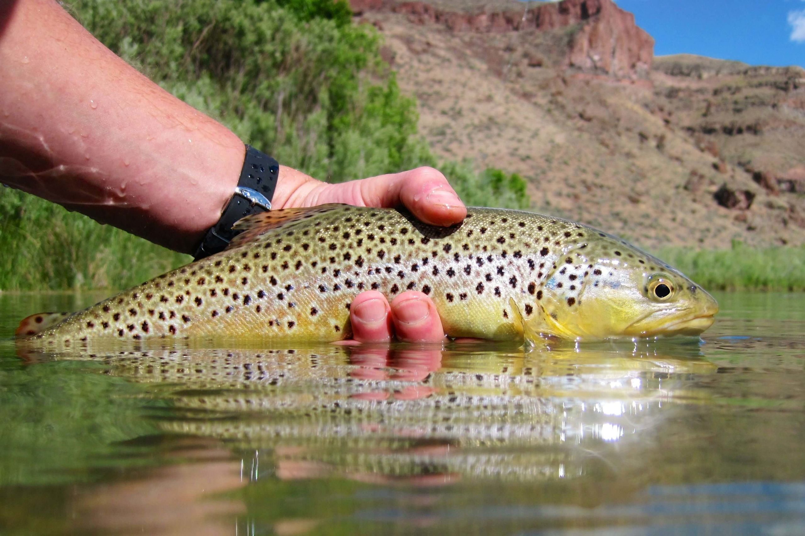 Fishing Southwest Idaho - Southwest Idaho Travel Association