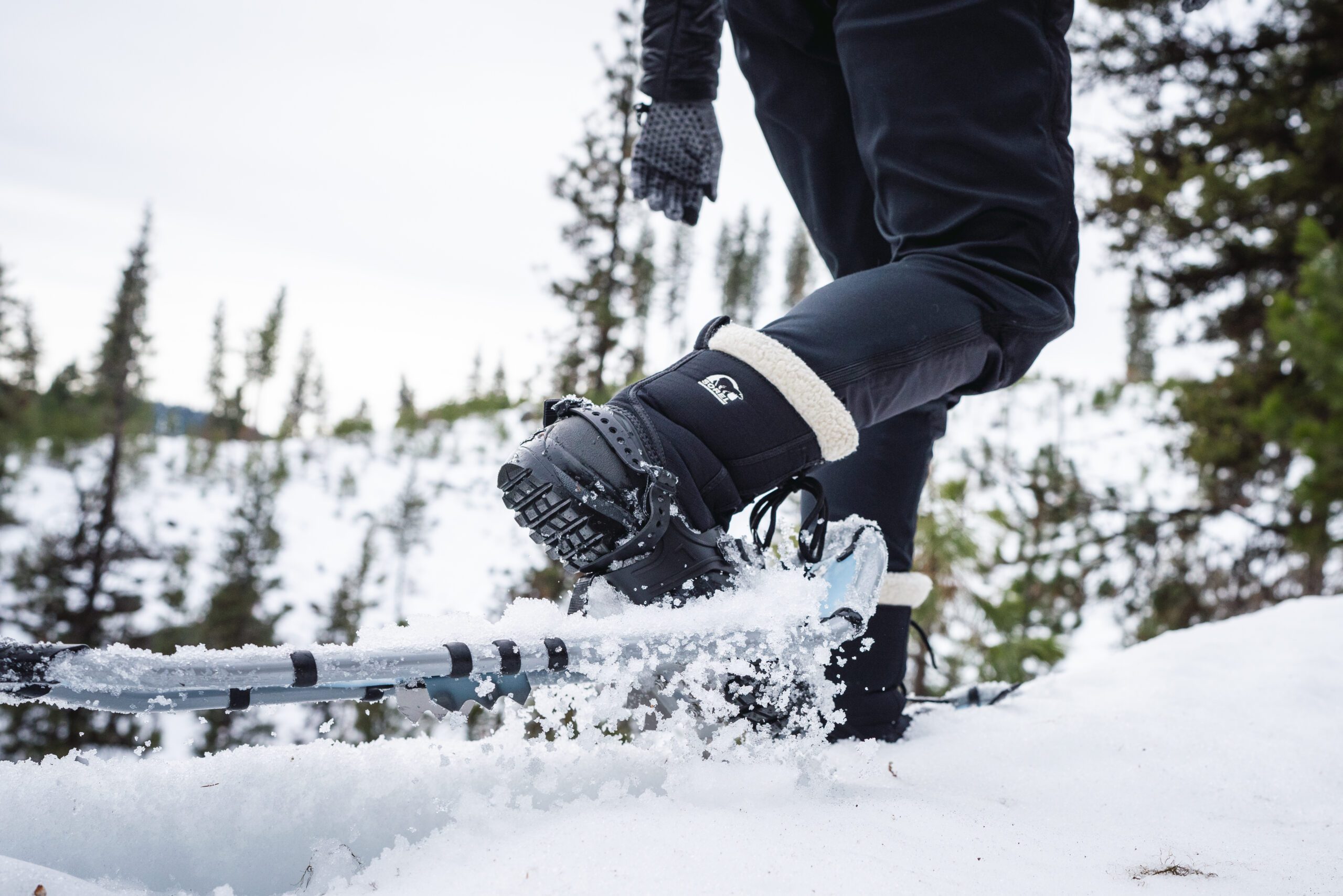 SWITA | Things To Do In Boise | Things To Do In Idaho | Idaho Vacation