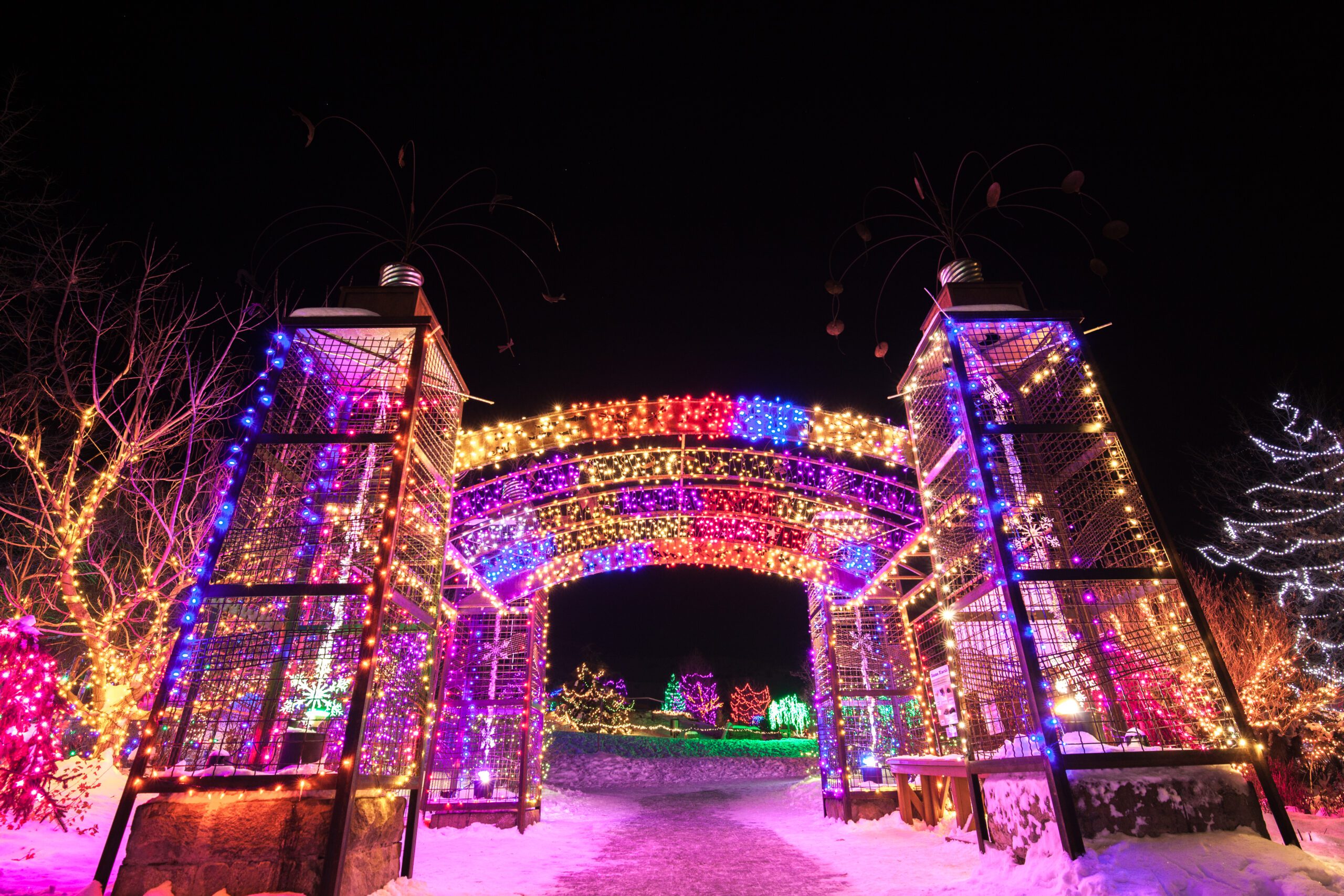 SWITA | Things To Do In Boise | Things To Do In Idaho | Idaho Vacation