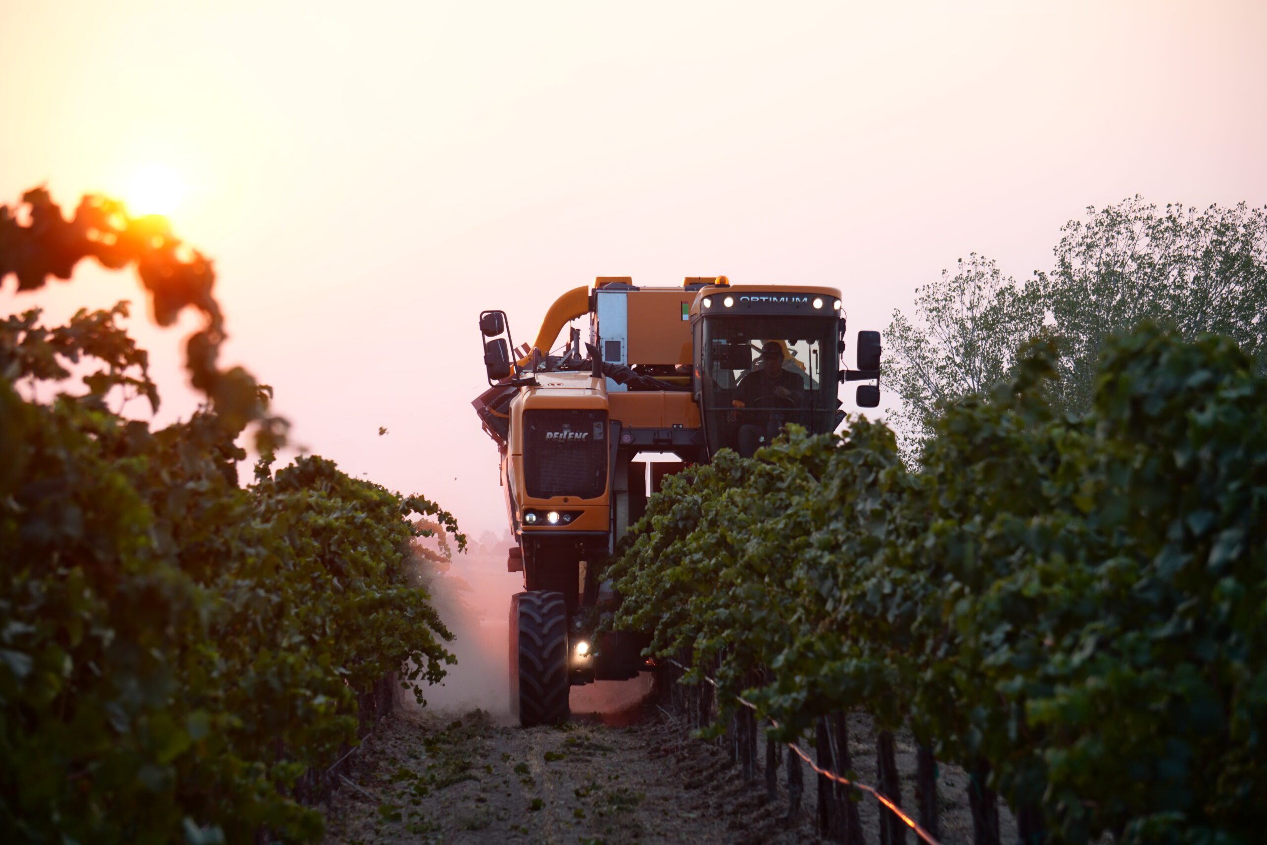 Snake River Valley Wines - Southwest Idaho Travel Association
